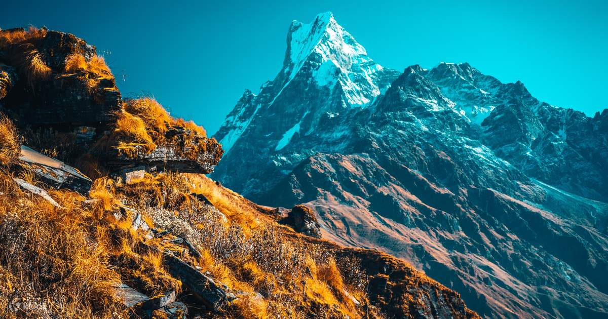 探索博卡拉迷人的 Mardi Himal 徒步旅行：为期 5 天的冒险 - Klook客路